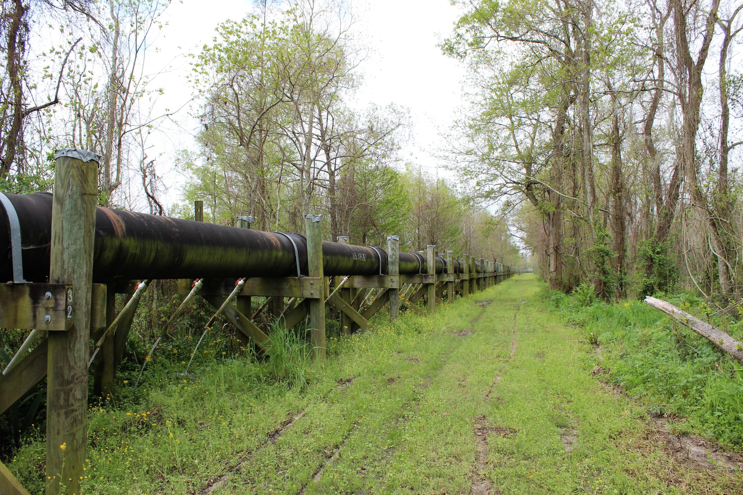 Bill would end eminent domain for carbon capture pipelines | The Lens