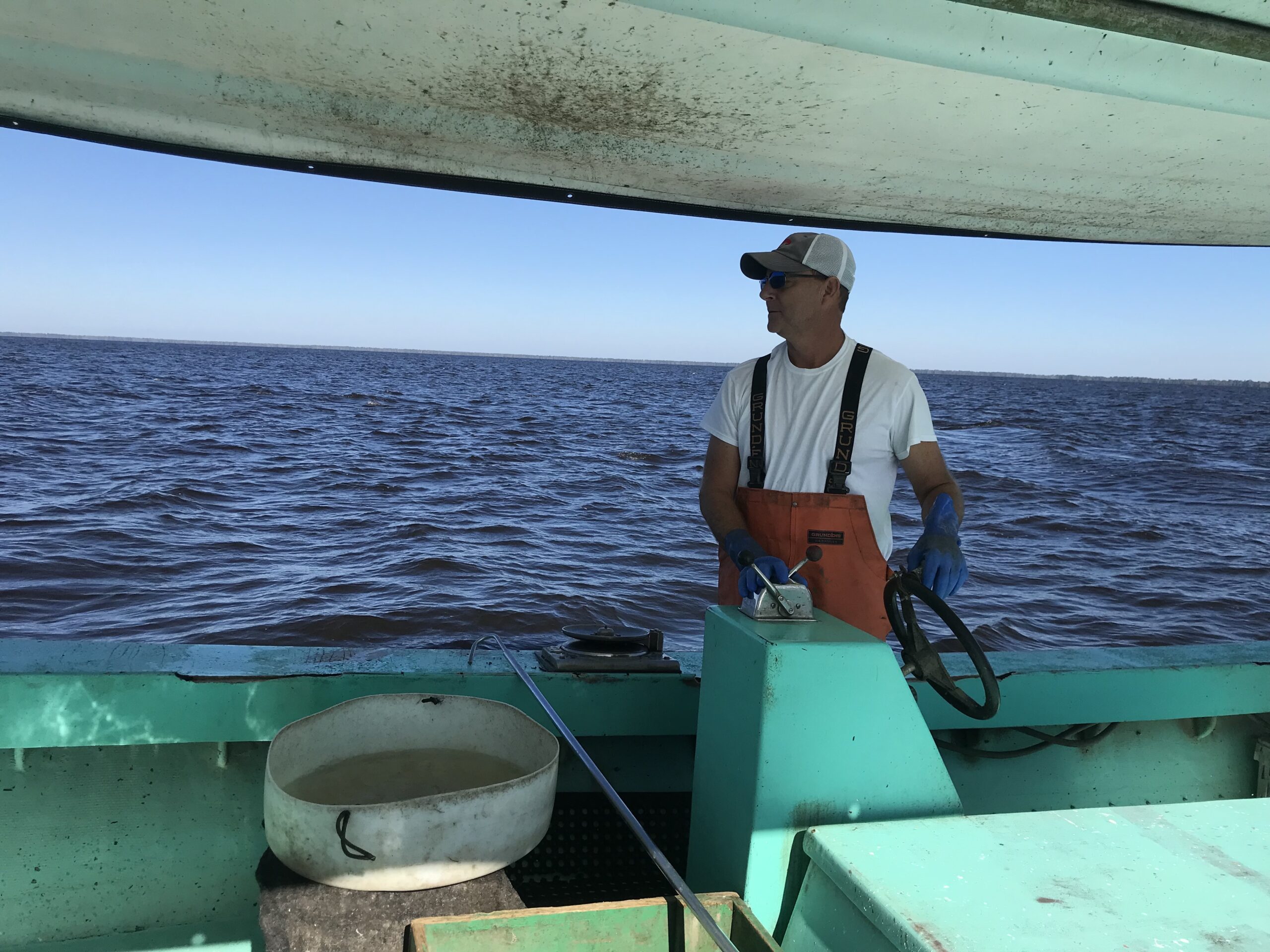 ‘Blue hydrogen’ project threatens fragile, valuable ecosystem of Lake ...