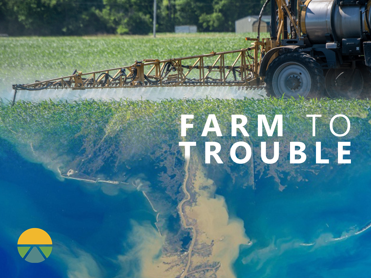 Farm to Trouble | The Lens