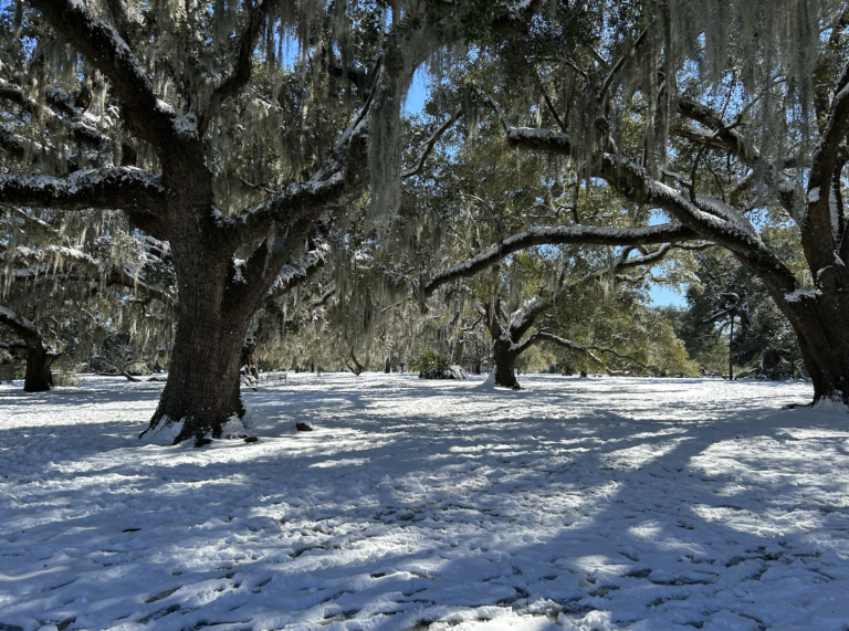 Pairing of Arctic air and moisture from the Gulf created record ...